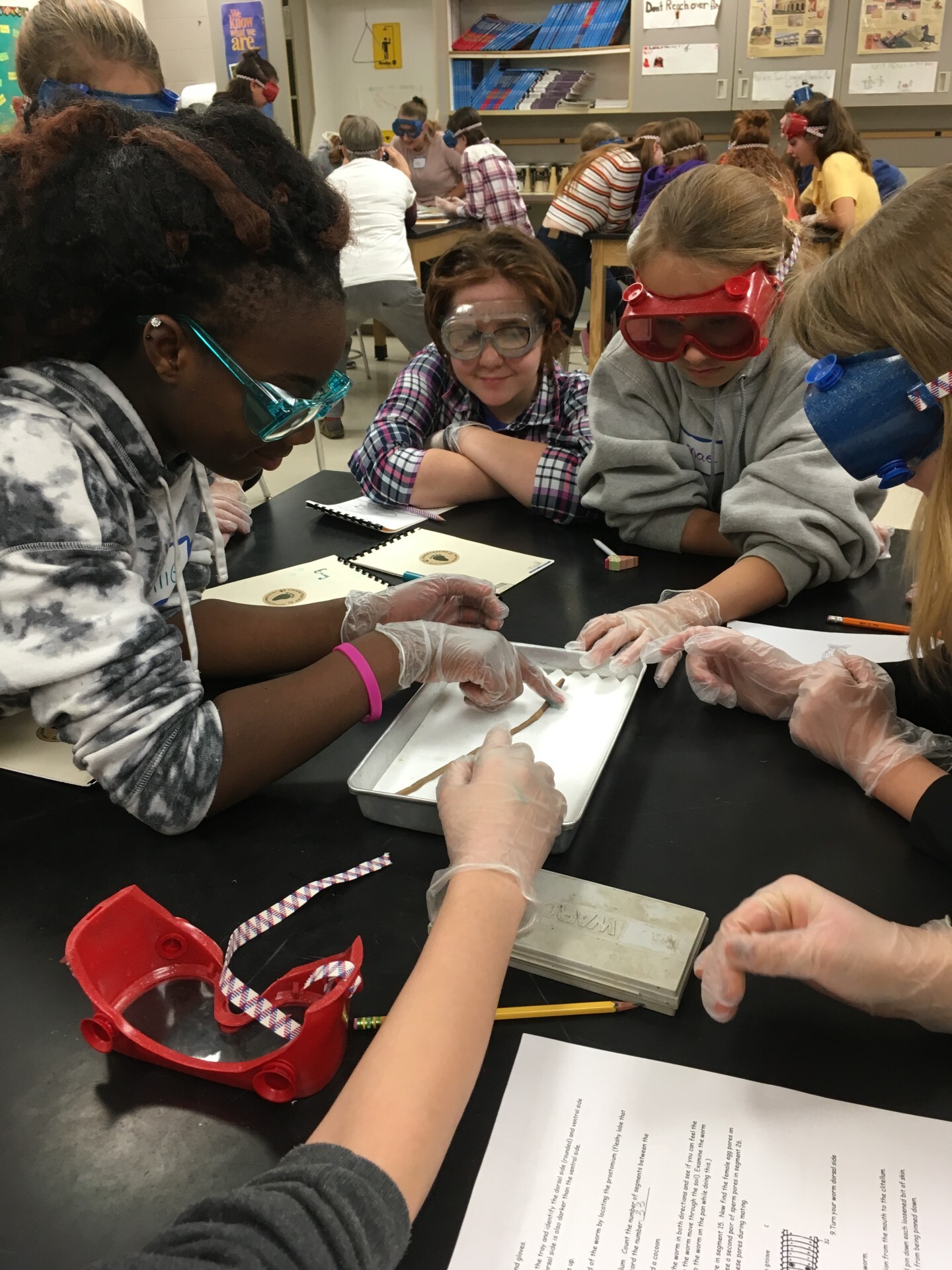 Opening the Doors of STEM | Barnard College