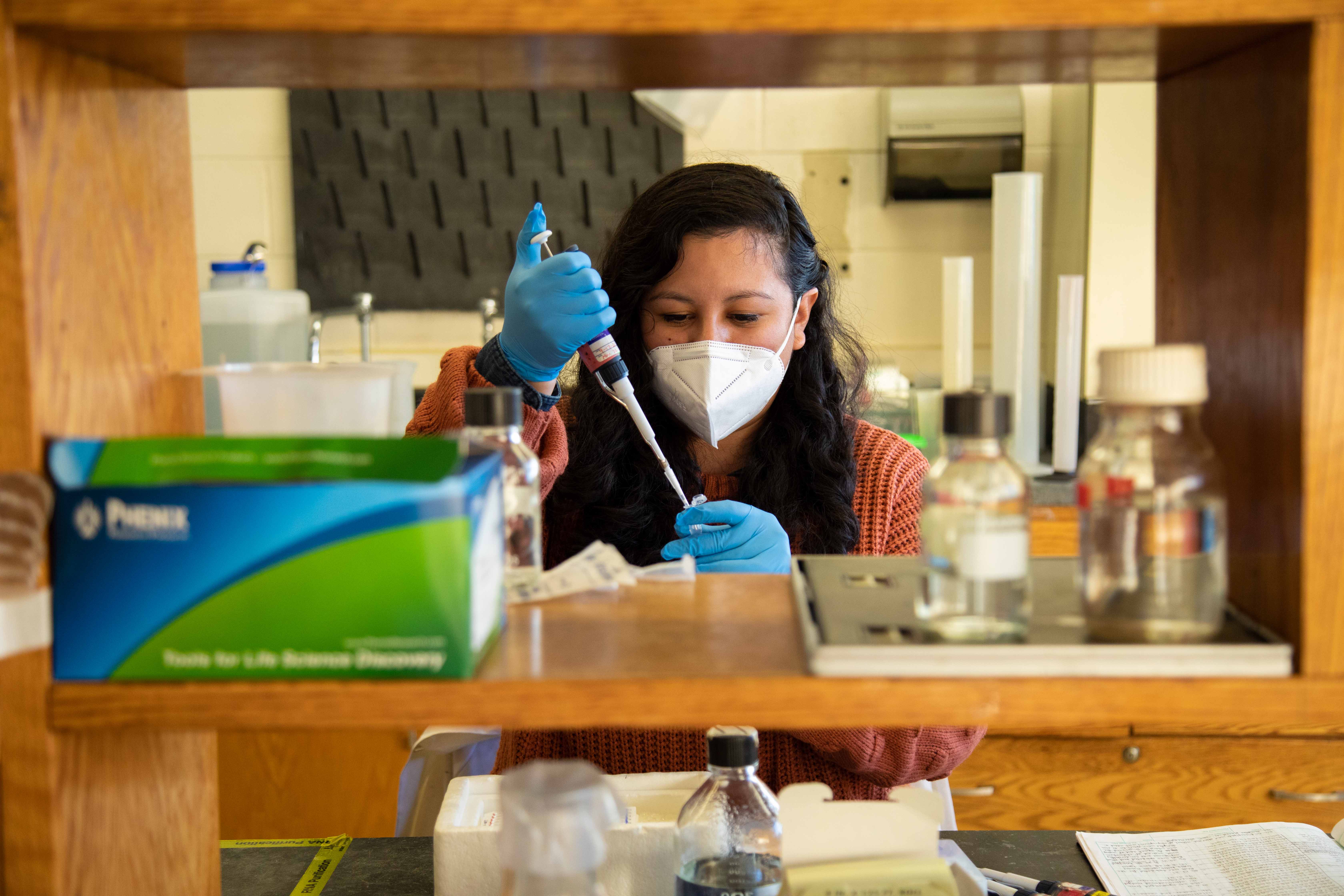 Diversity, Equity, and Inclusion in Science | Barnard College