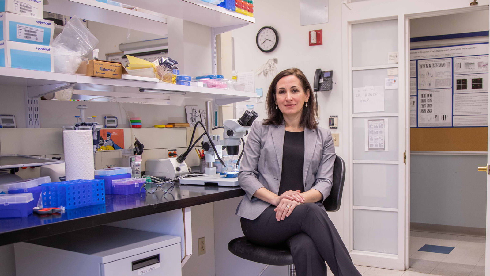 Neuroscientist María P. Fernández Awarded $1 Million NSF Grant ...