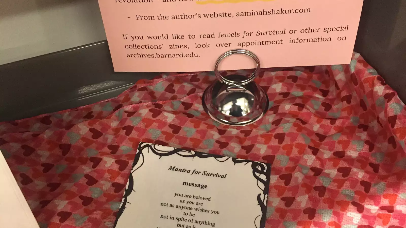 Zine Displays in November: Indigenous Zines & Shelf-Talkers! | Barnard ...