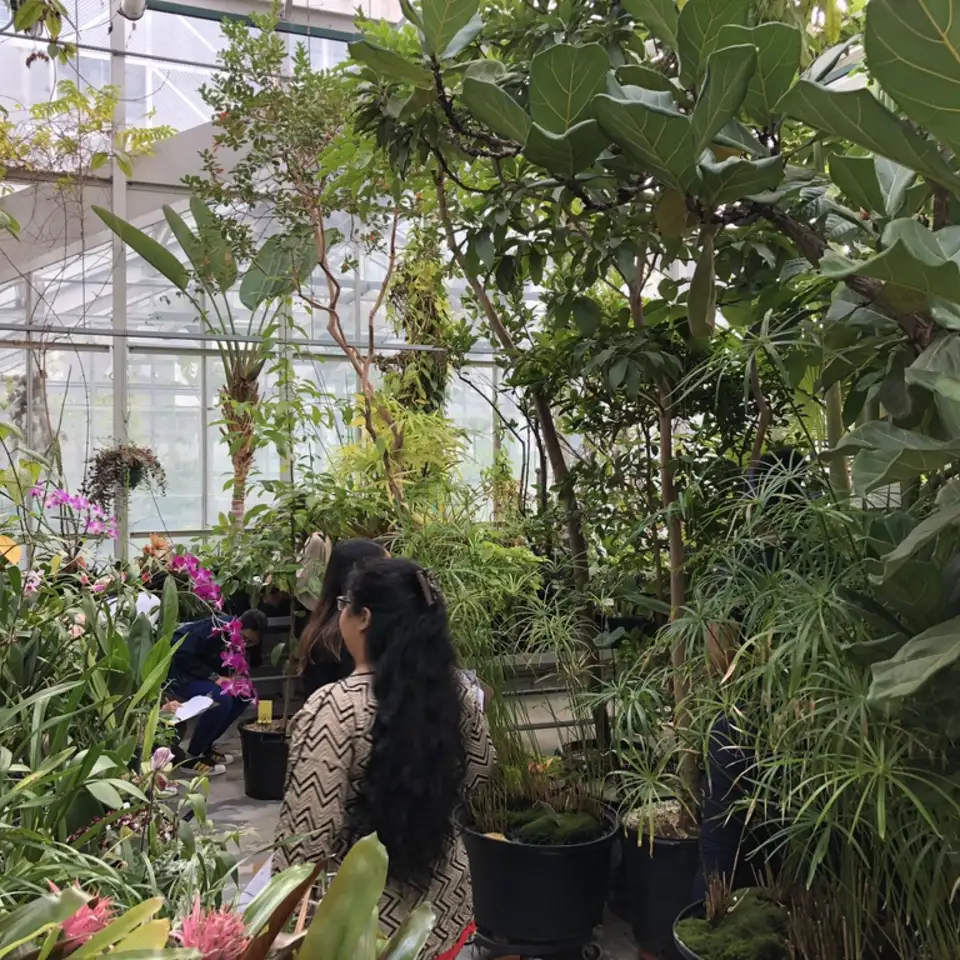 The Academic Experience | Barnard College